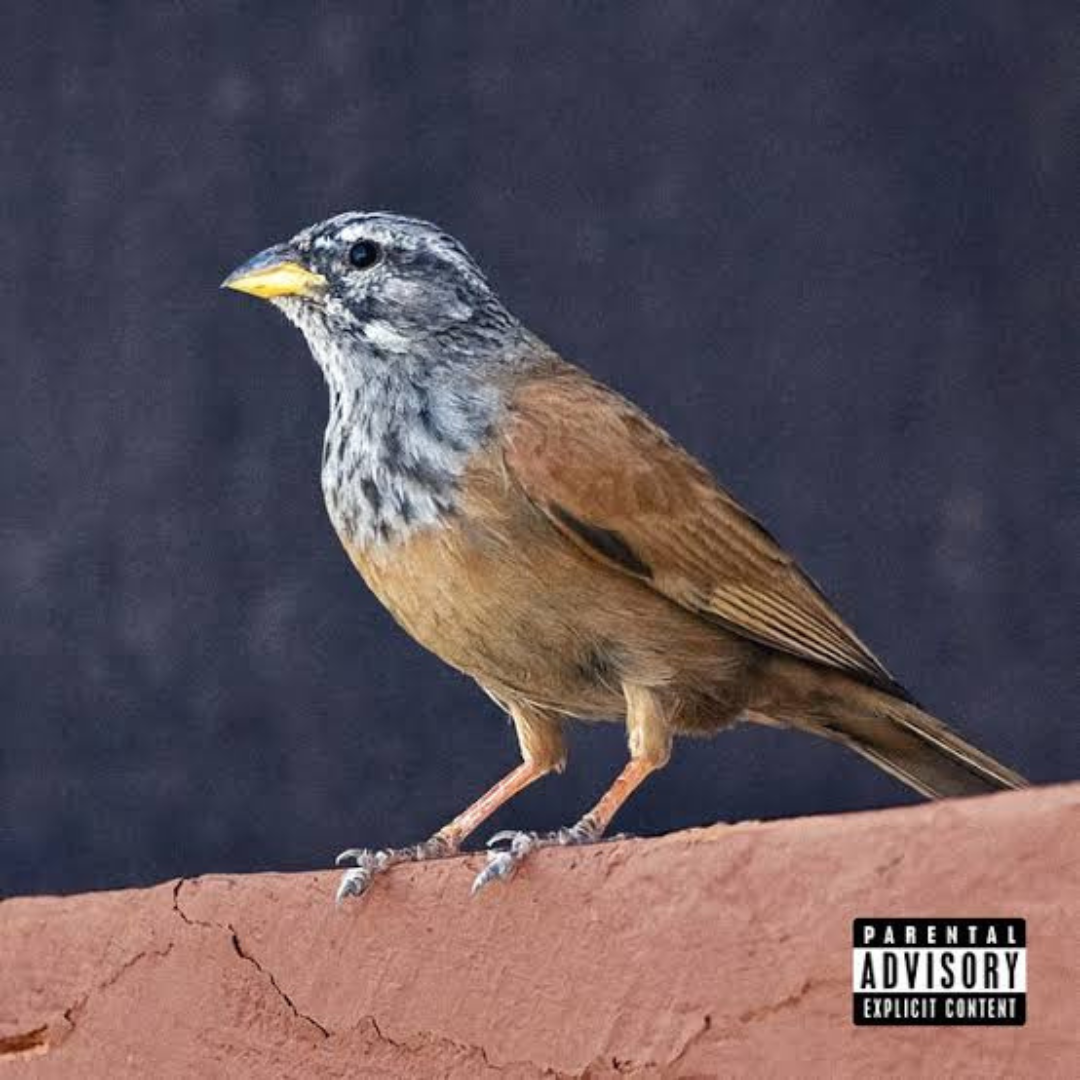 Top 10 Moroccan Rap Albums Of All Time | DimaTOP